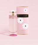 prada candy | Sandra‘s Closet