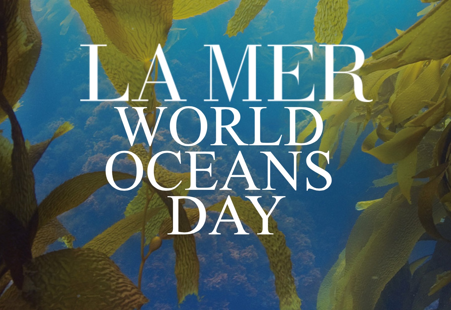 La Mer Blue Heart Oceans Fund | Sandra‘s Closet