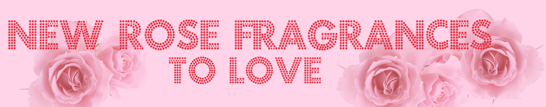 New Rose Fragrances to Love | Sandra‘s Closet