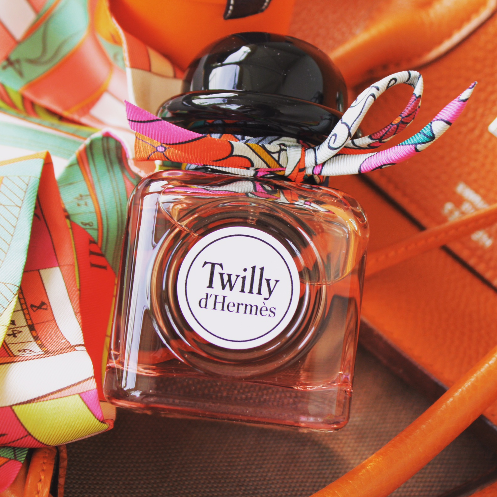 Twilly d’Hermès | Sandra‘s Closet