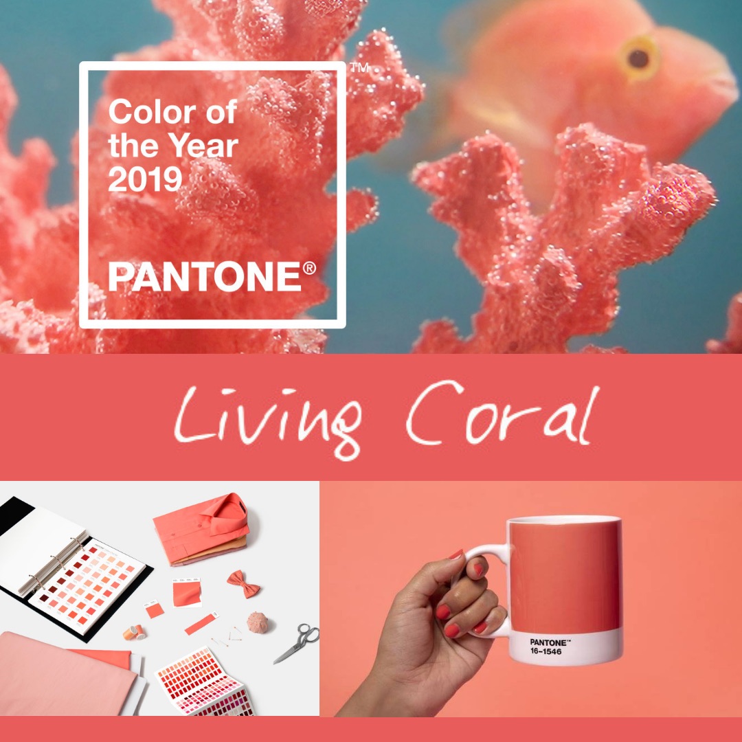 Living Coral – Color of the Year 2019 | Sandra‘s Closet