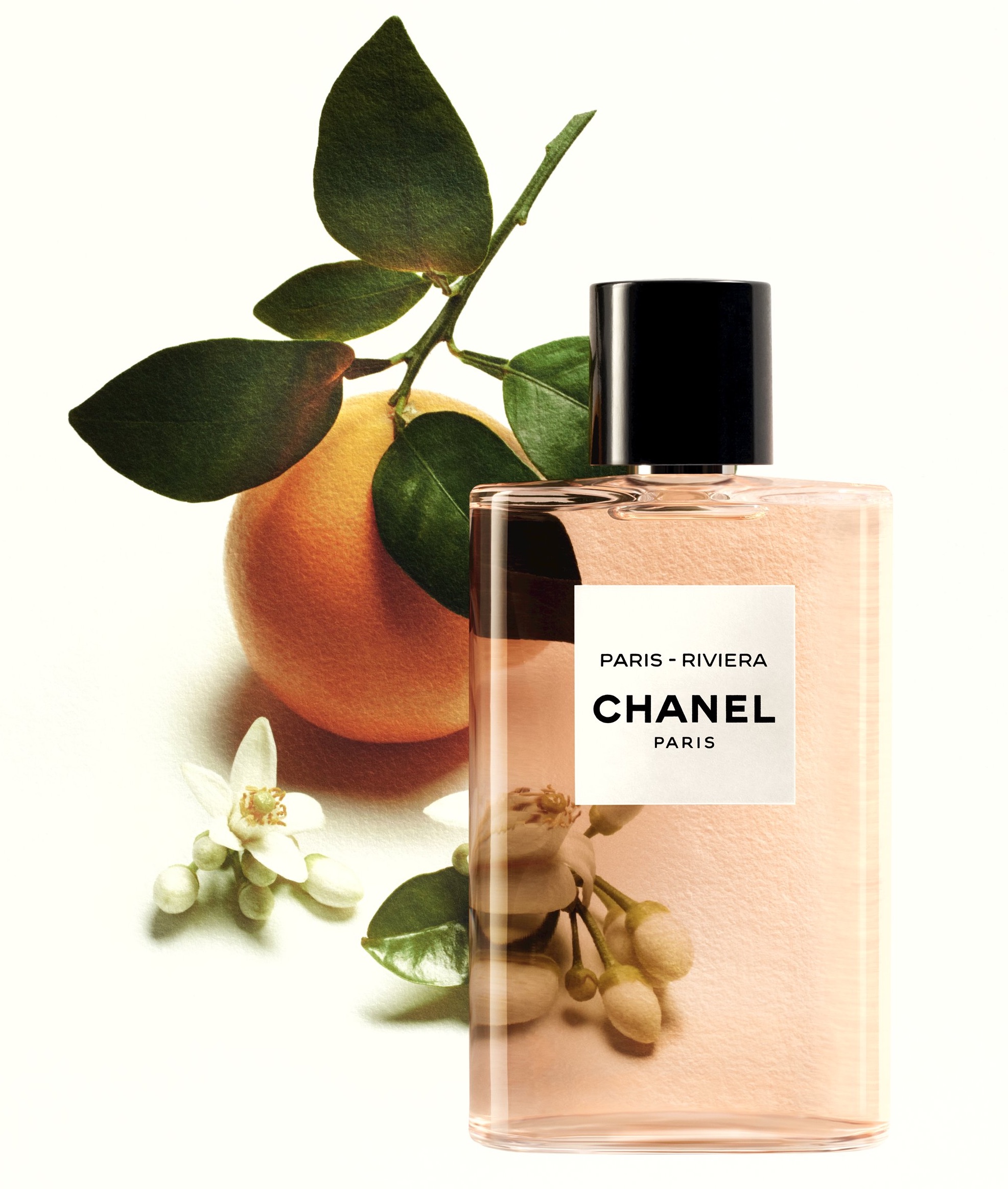 Les Eaux de CHANEL Paris – Riviera | Sandra‘s Closet