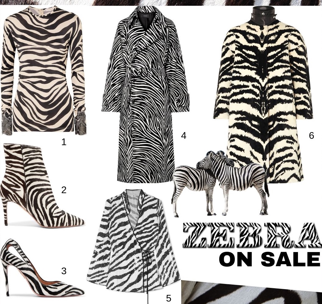 F/W 2019: The Season of the Zebra | Sandra‘s Closet