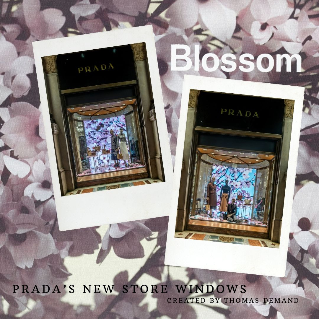 Blossom: Prada’s New Store Windows | Sandra‘s Closet