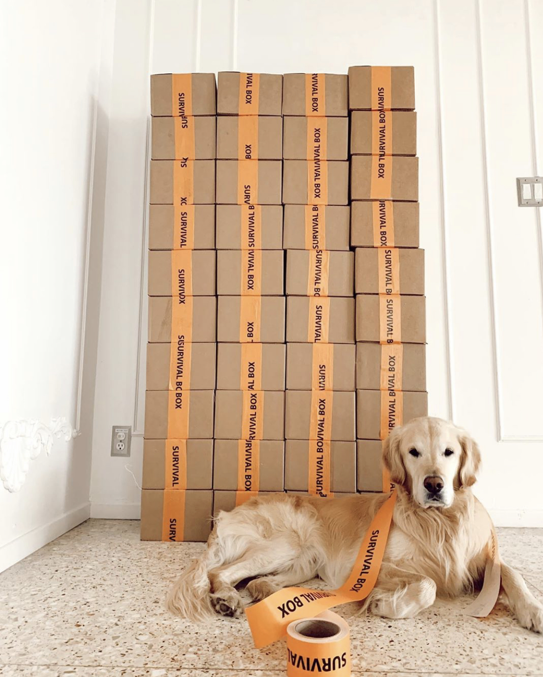 Erica and The Survival Box | Sandra‘s Closet