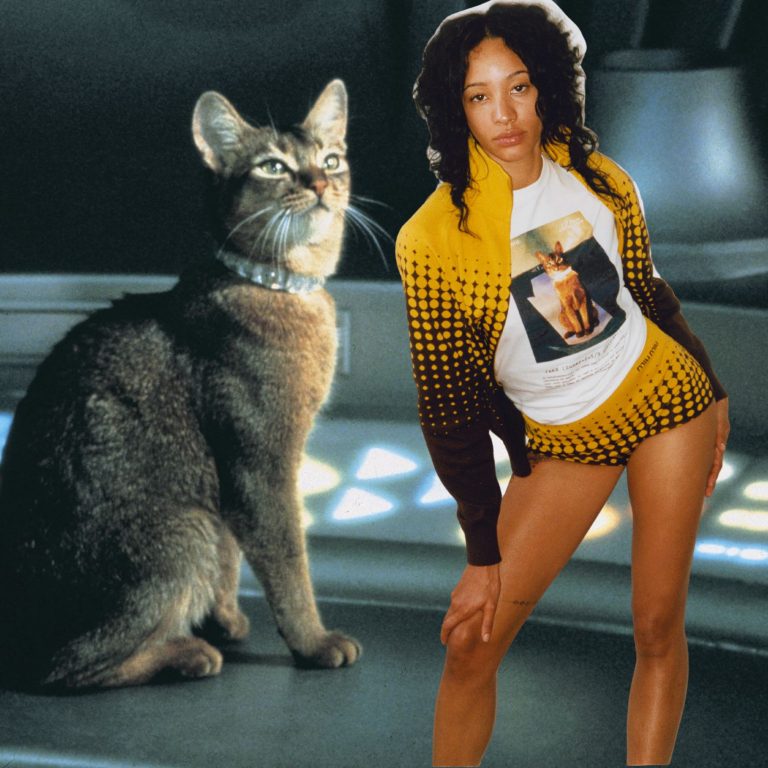 Miu Miu Famous Cats | Sandra‘s Closet