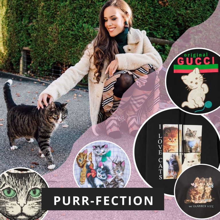Purr-fection | Sandra‘s Closet