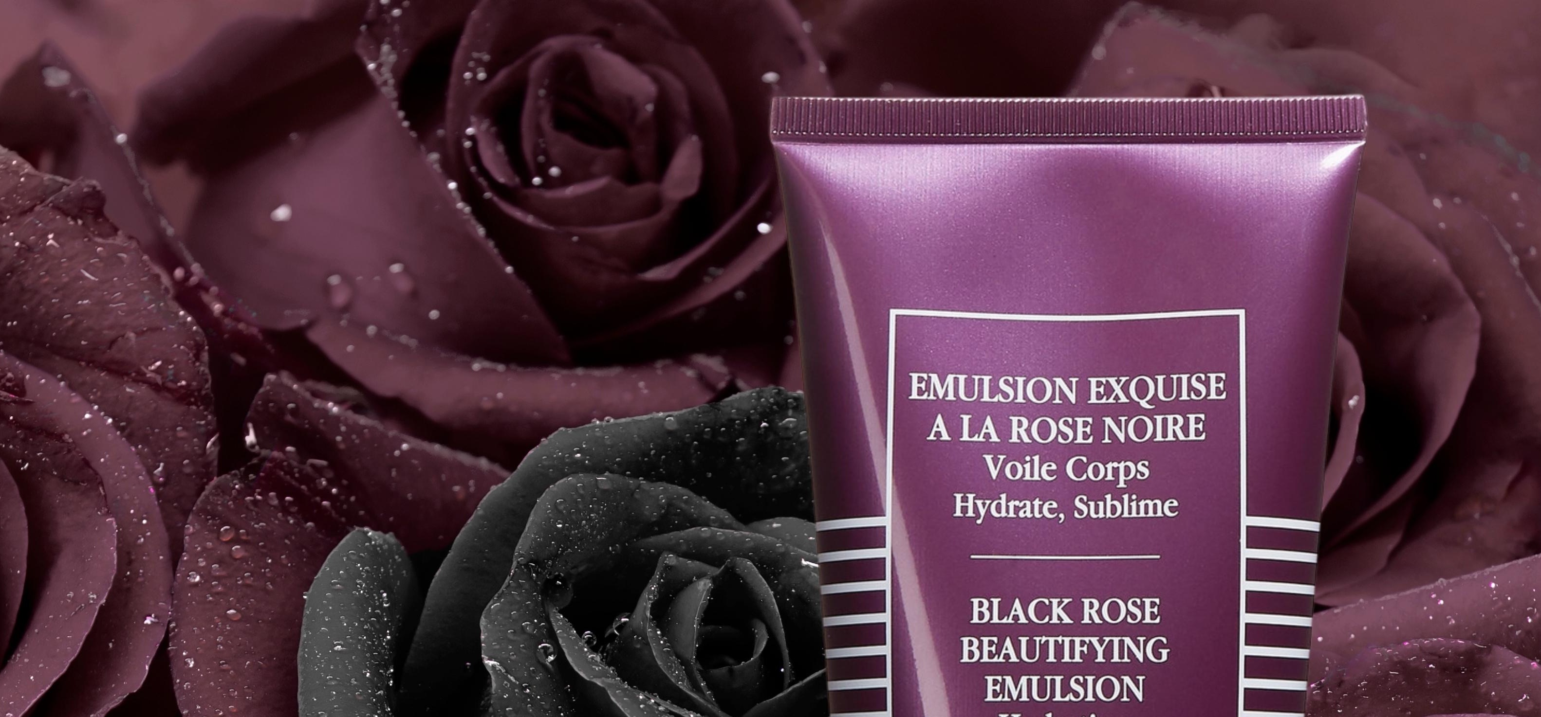 My Favorite Body Emulsion | Sandra‘s Closet