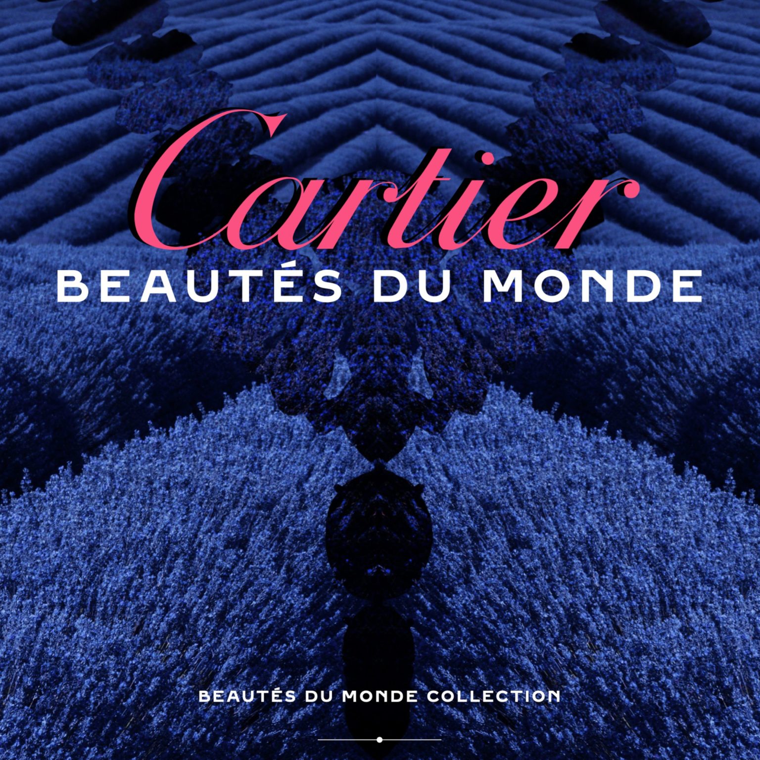 Jewelry | Sandra‘s Closet