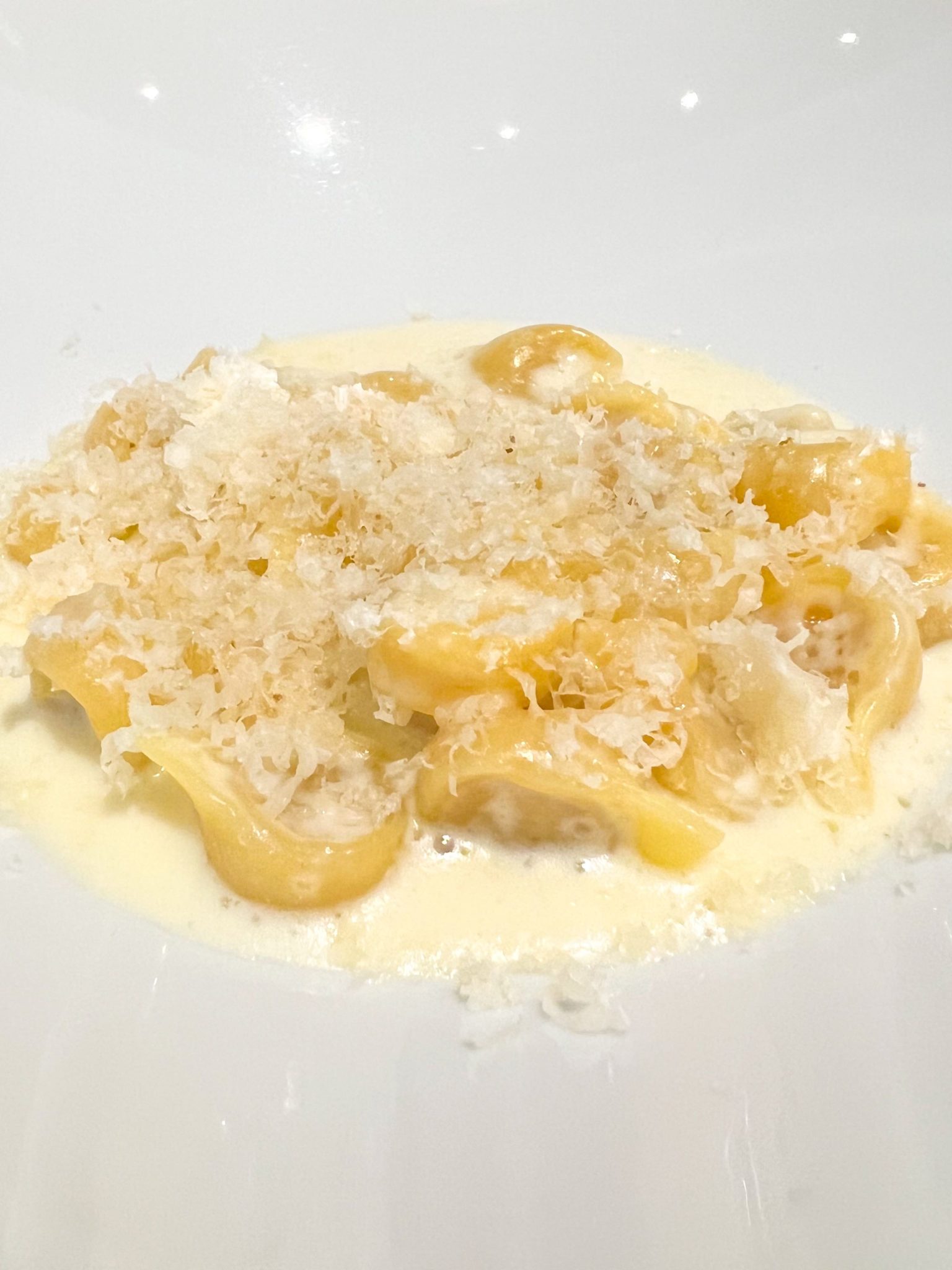 Dinner at Gucci Osteria in Florence | Sandra‘s Closet