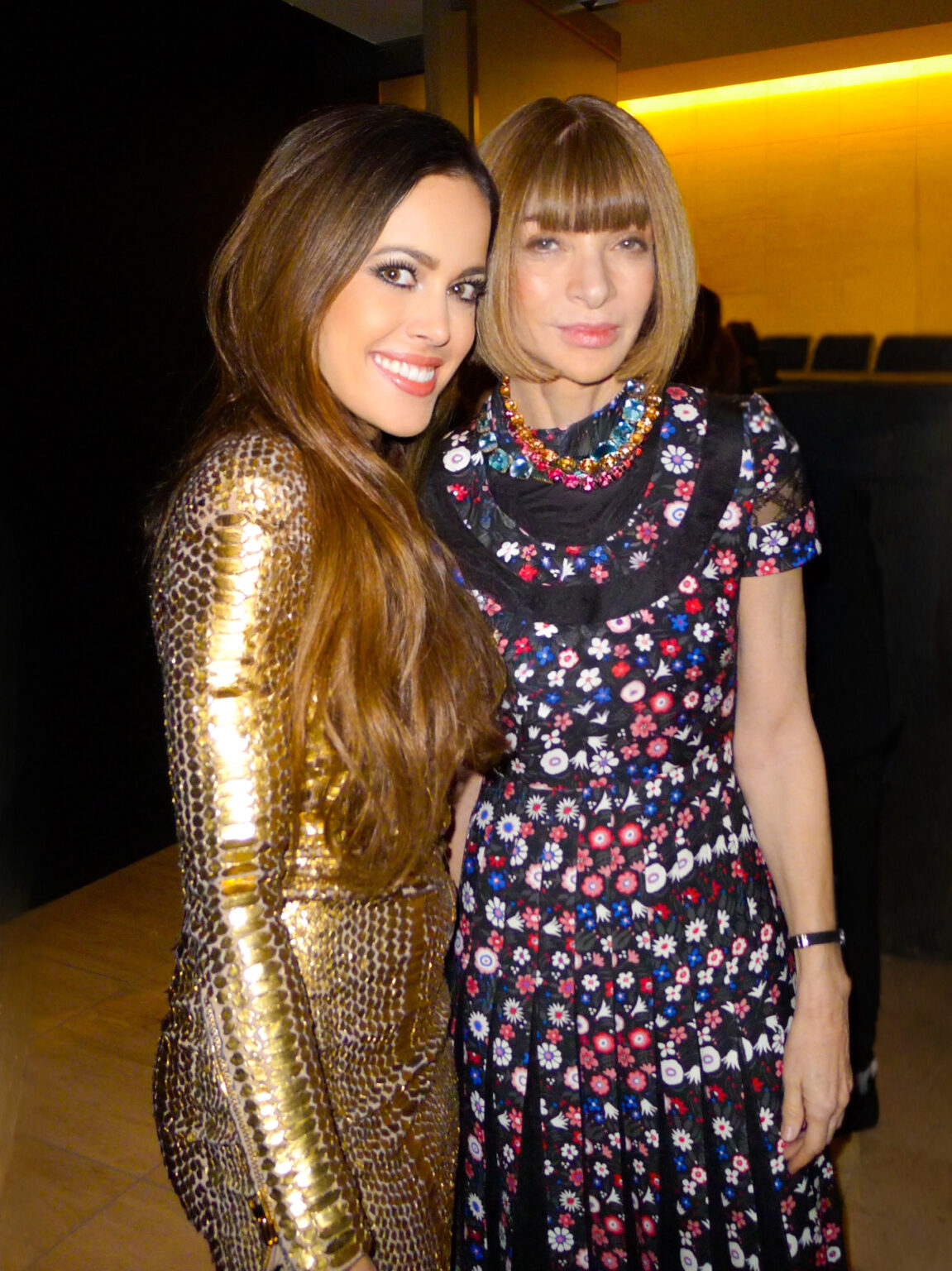 Anna Wintour Steps Down – The End of an Era | Sandra‘s Closet